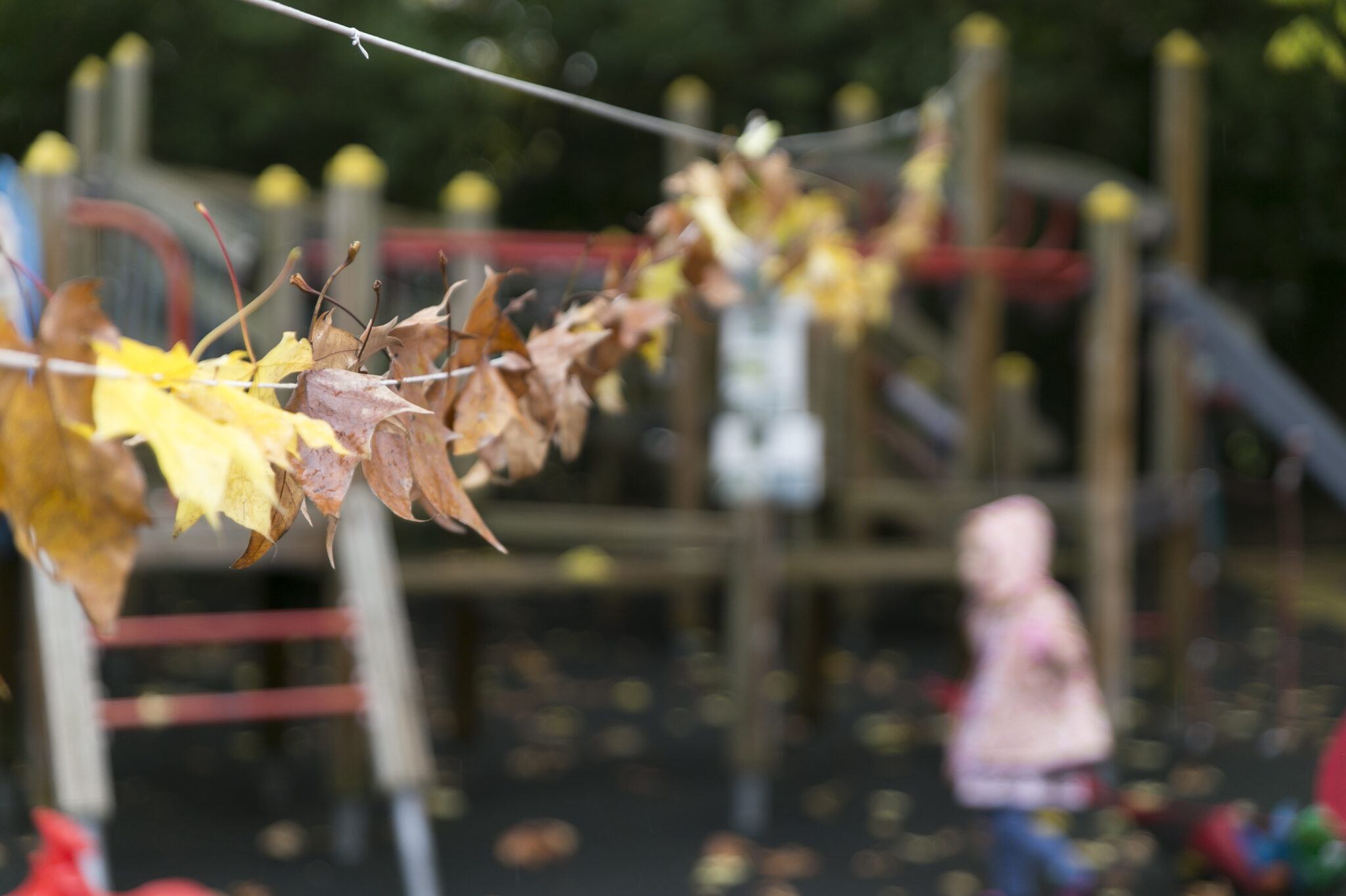 safeguarding – Ofsted: education